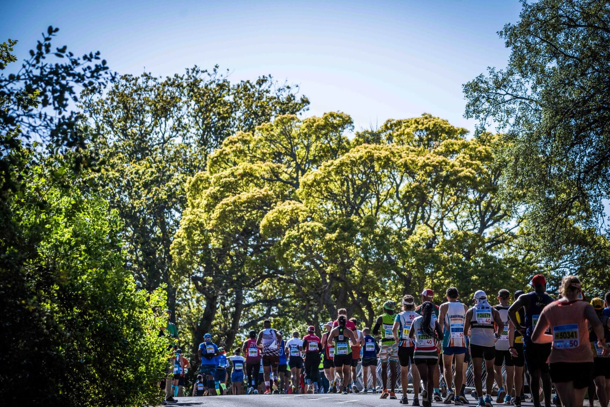 Two Oceans Marathon | Book Your Race & Travel Package | Africa Marathons